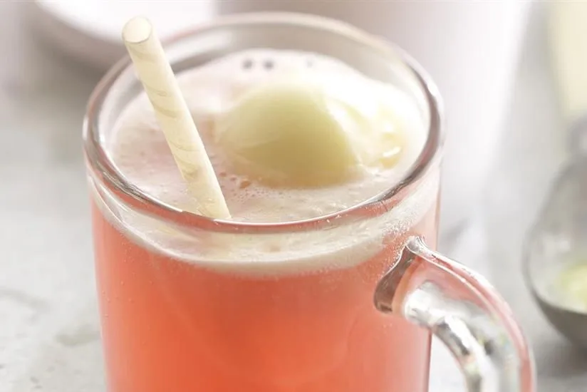 Refreshing Cranberry Lemonade Float Recipe | Ocean Spray®