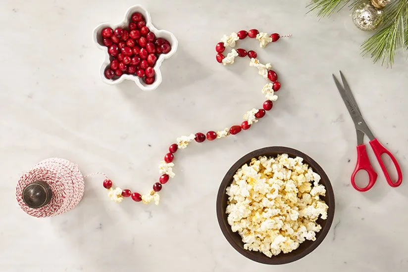 DIY Cranberry Garland - Festive Homemade Decor