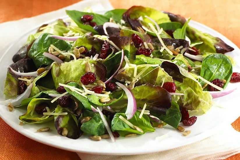 Fresh Homemade Ruby Red Cranberry Salad Recipe | Ocean Spray®