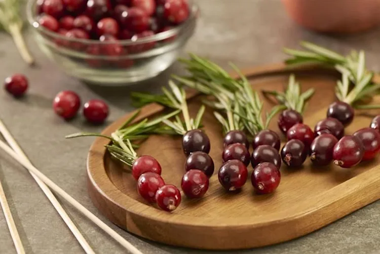 Cranberry Rosemary Creative DIY Cocktail Drink Garnish